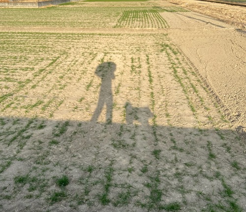 影 – 雪どうぶつ病院blog